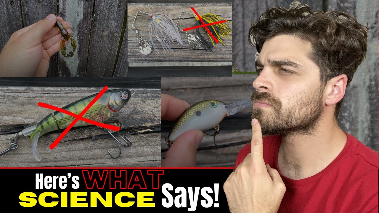 What Color Fishing Lures Should YOU Use? | Bass Fishing Basics - YouTube