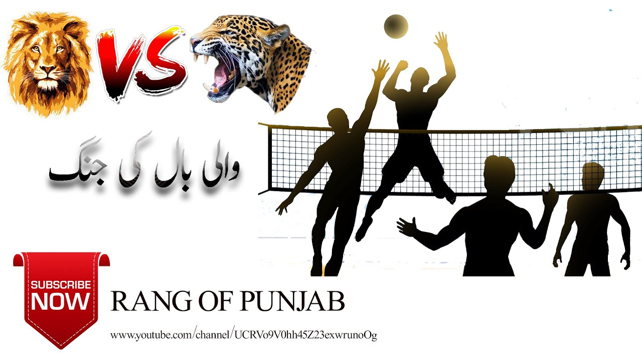 Volleyball Match | Wali Ball Match - YouTube