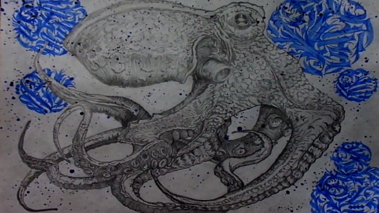 OCTOPU SEA Calligrams/Drawing [HD] - YouTube