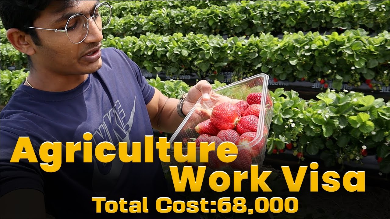Agriculture work visa New Zealand | Seasonal Work Visa | BM Maniya ...