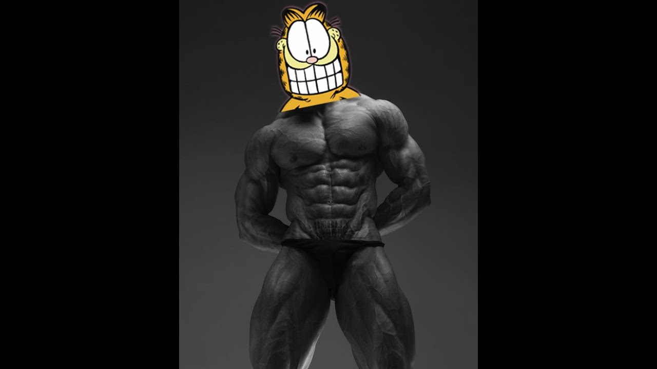 Sigma Garfield Grindset - YouTube