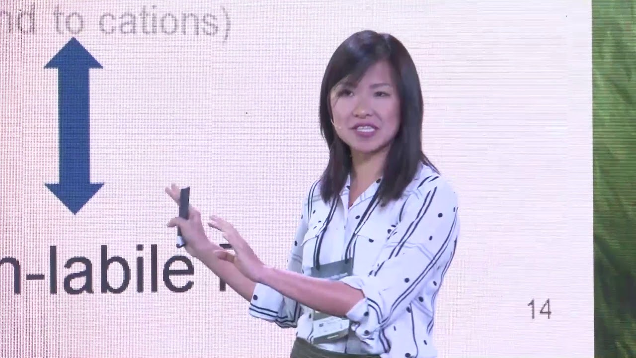 SILICON VALLEY FORUM 2018 - Diane Wu - YouTube