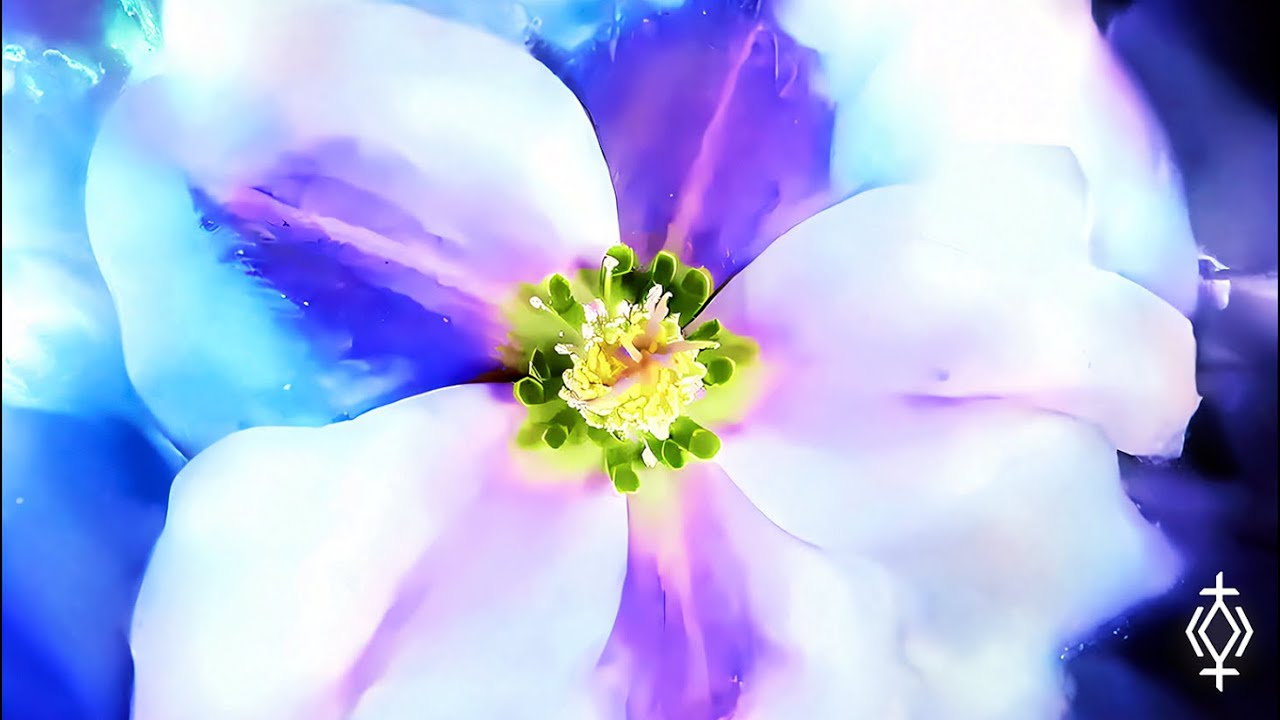 ZRMPA, REGNETAISE - ANGEL GLOW (BREAKCORE MIX) - YouTube