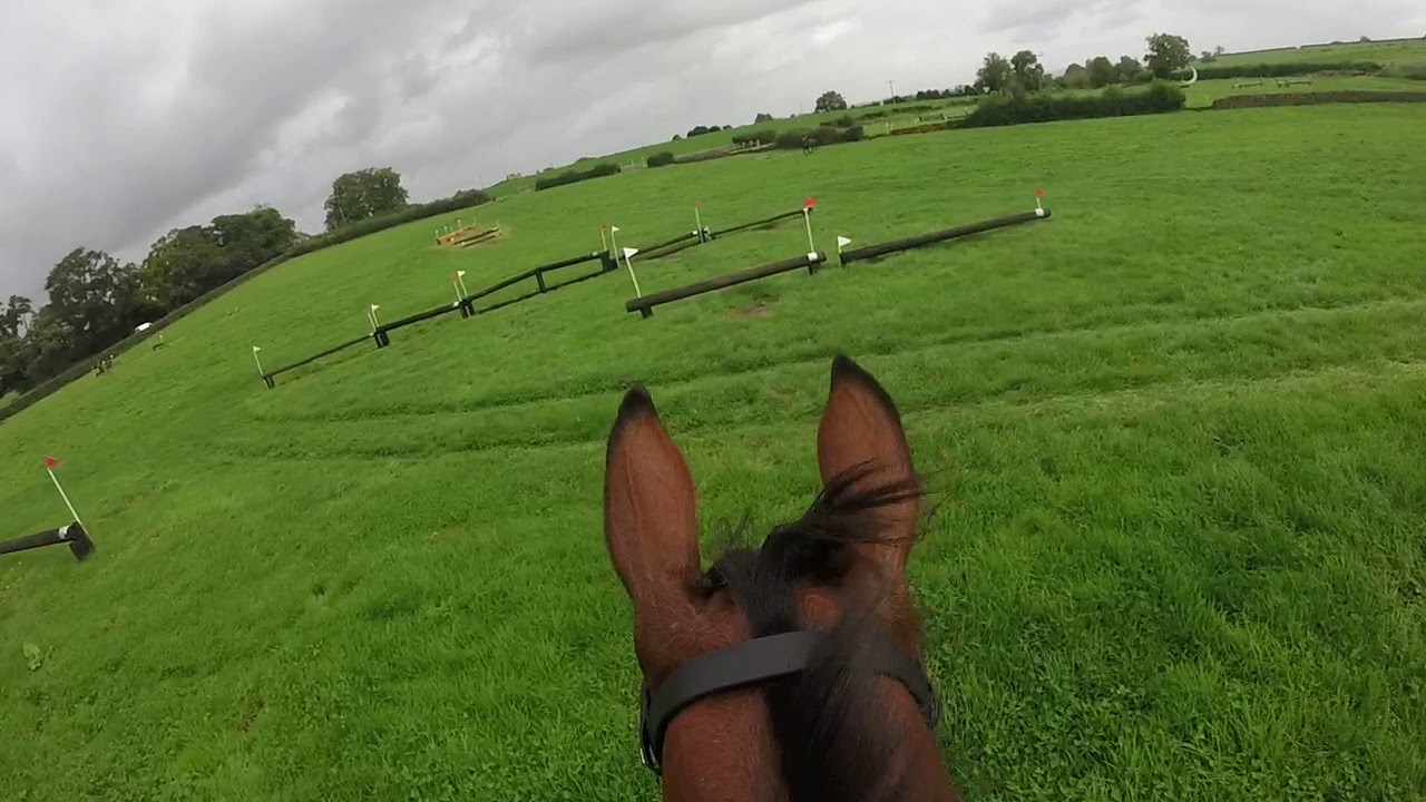 (8) Toomer Farm - XC Schooling - Open course - King Koda - Sept 2017 ...