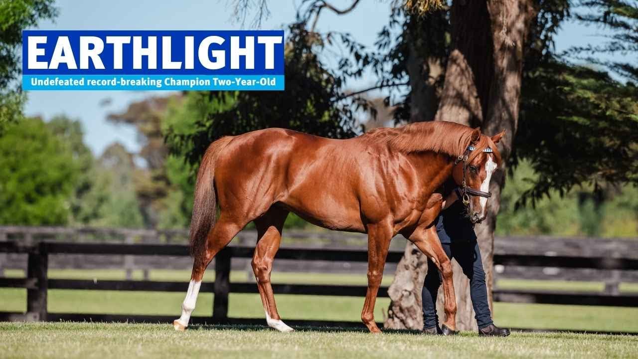 AUS: Earthlight 2022 Stallion Showreel - YouTube