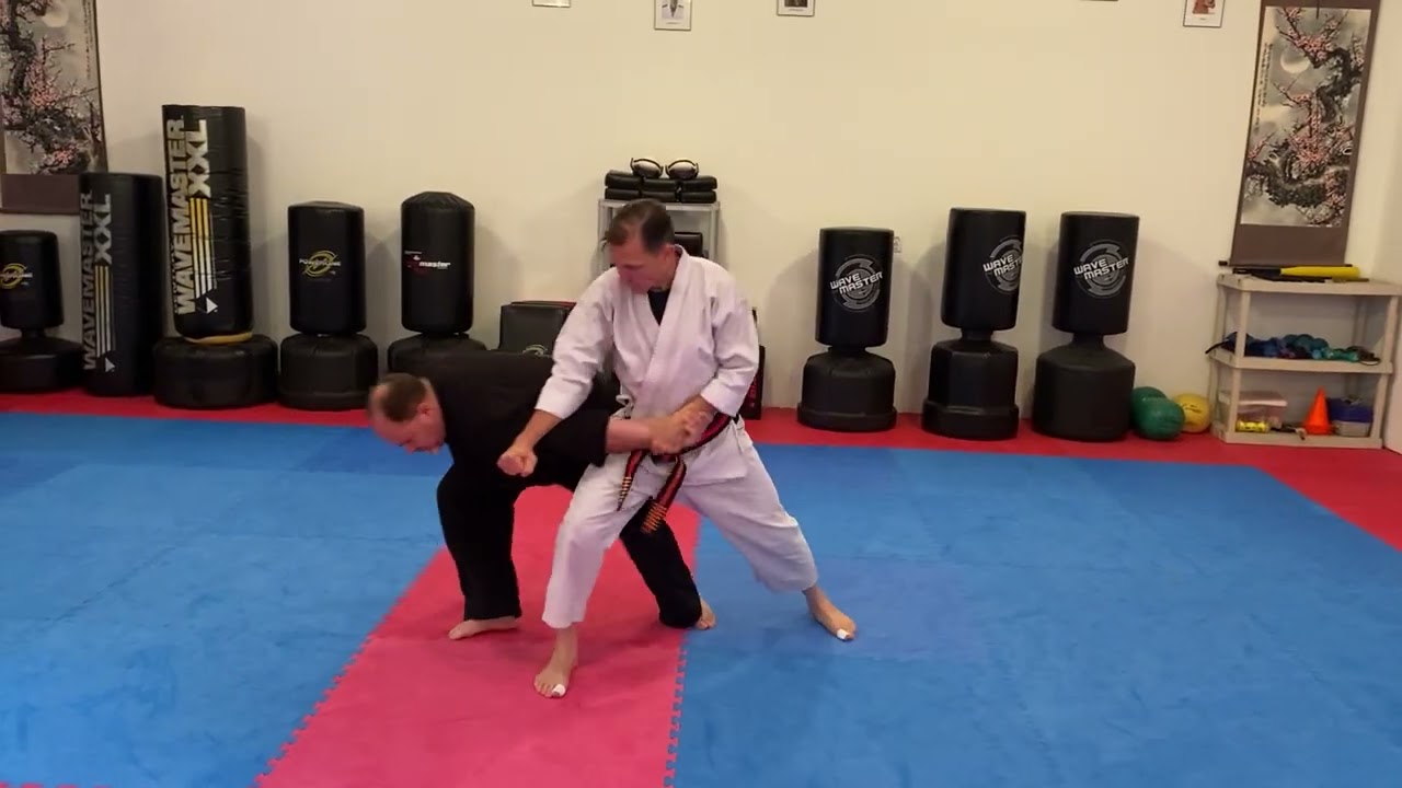 Ki Cho (Geicho) Hyung Il Bu form applications - Tang Soo Do - Lesson 1 ...