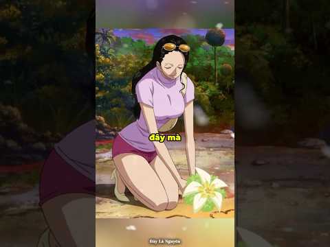 Những màn lột xác cực kỳ bất ngờ của các nhân vật trong One Piece #onepiece #luffy #nicorobin