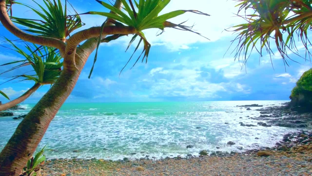 Ambience: Relaxing and Calming Waves | 4K UHD | ambience | ASMR | relax ...