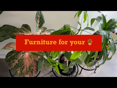 Five pack simple & sober Metal Stand for Five Beautiful Plants - YouTube