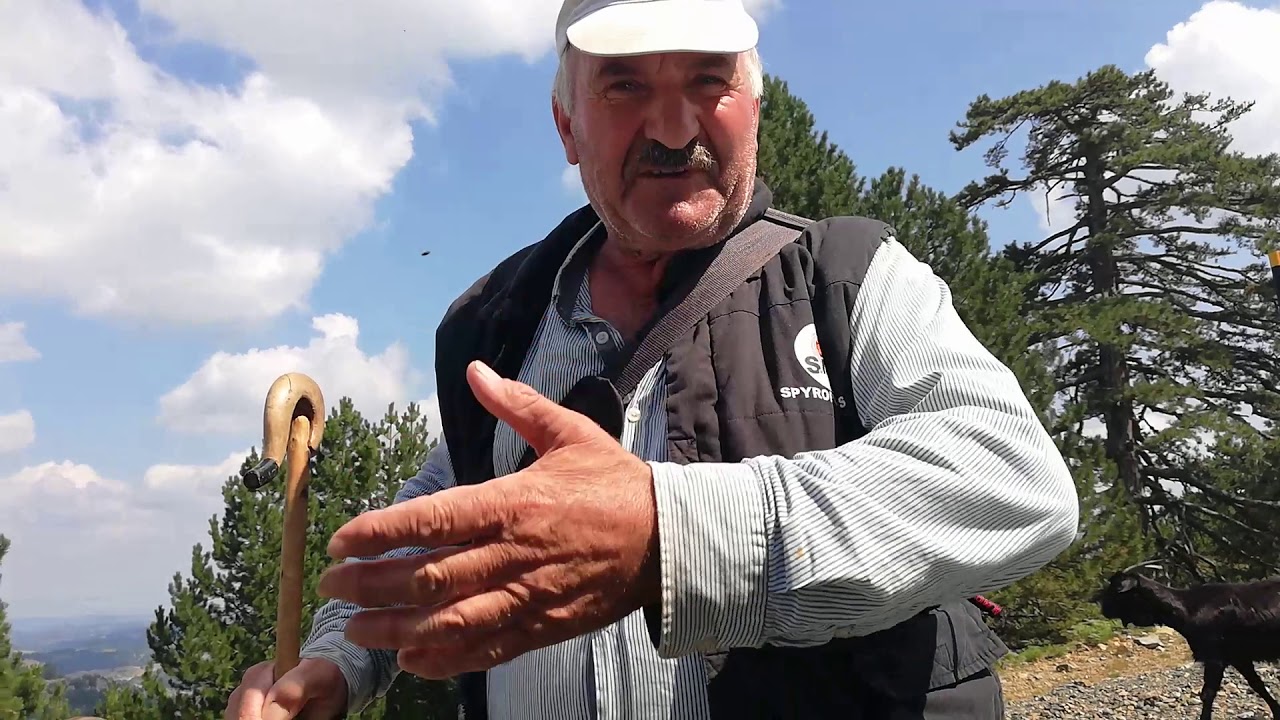 Κτηνοτρόφος στην Σμιξη μιλά για τις δυσκολιες της μετακινουμενης ...