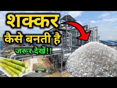 फैक्ट्री में चीनी ( शक्कर ) कैसे बनती हैं ? | How Sugar is made ? | by #Vital_Gyan