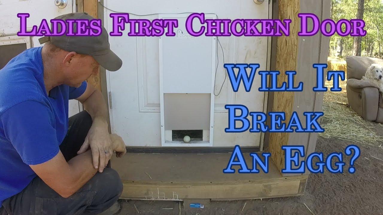 Ladies First Chicken Coop Door, Review and installation. - YouTube