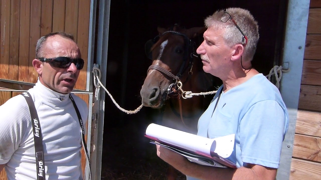 CHRISTOPHE FEYTE entraîneur-driver Trot - YouTube