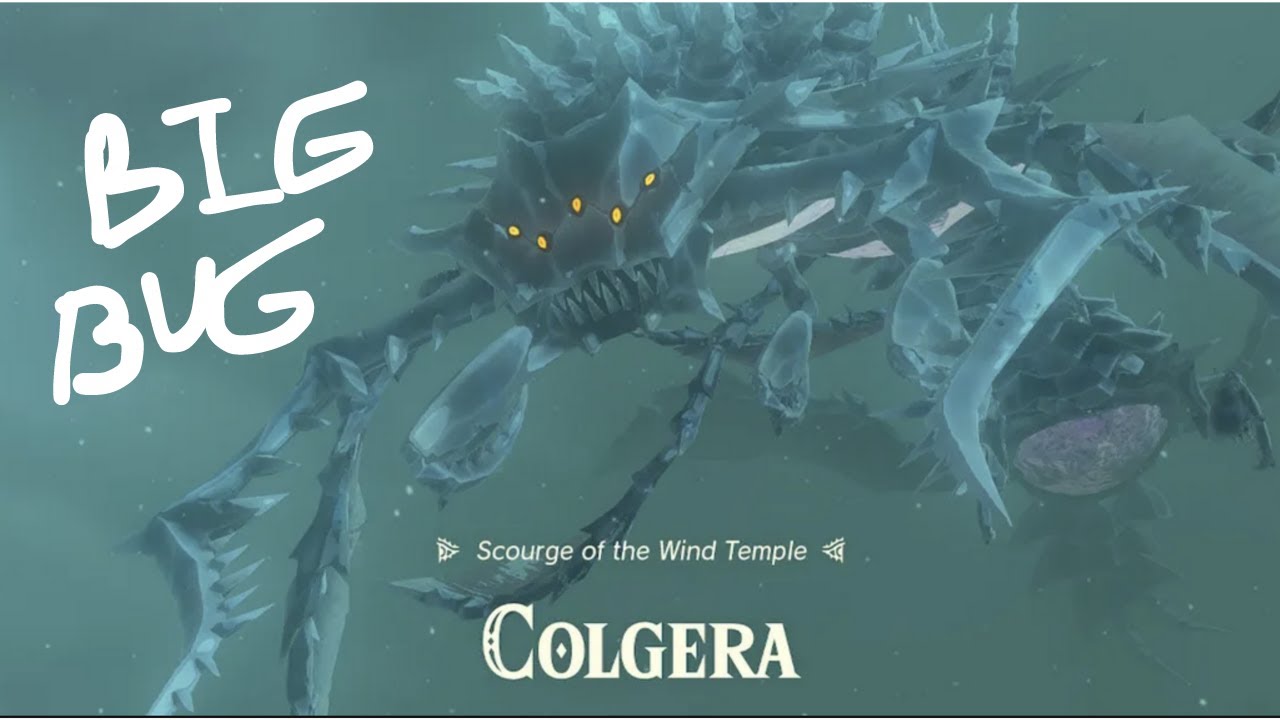 Colgera Tears Of the Kingdom FULL FIGHT - YouTube