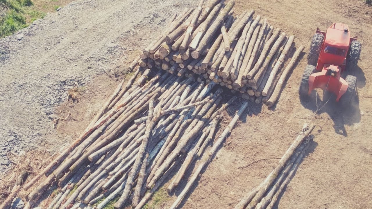 Northern Maine logging: Working a vintage TIMBERJACK skidder - YouTube