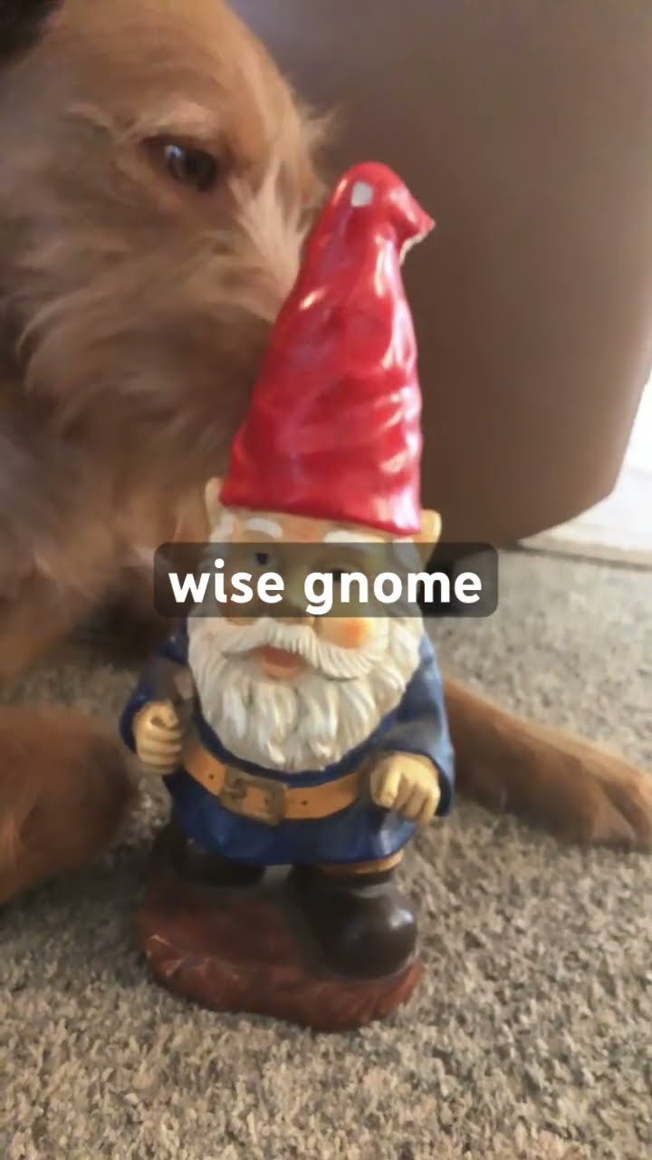 August 17, 2024 - YouTube