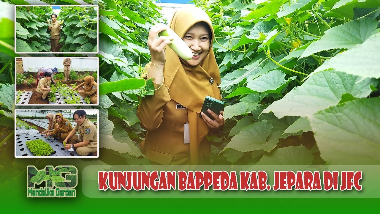Kunjungan Bappeda Kab. Jepara di JFC ( Jepara Farming Center ) II ...