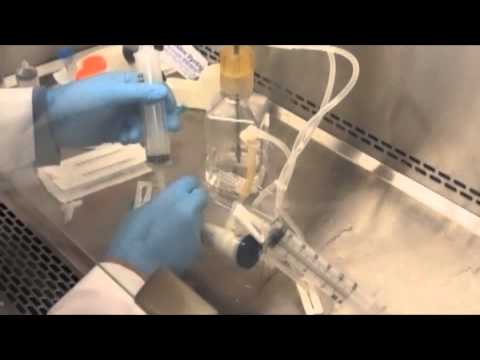 High Glucose Rate Harvest from FiberCell Systems Hollow Fiber ...