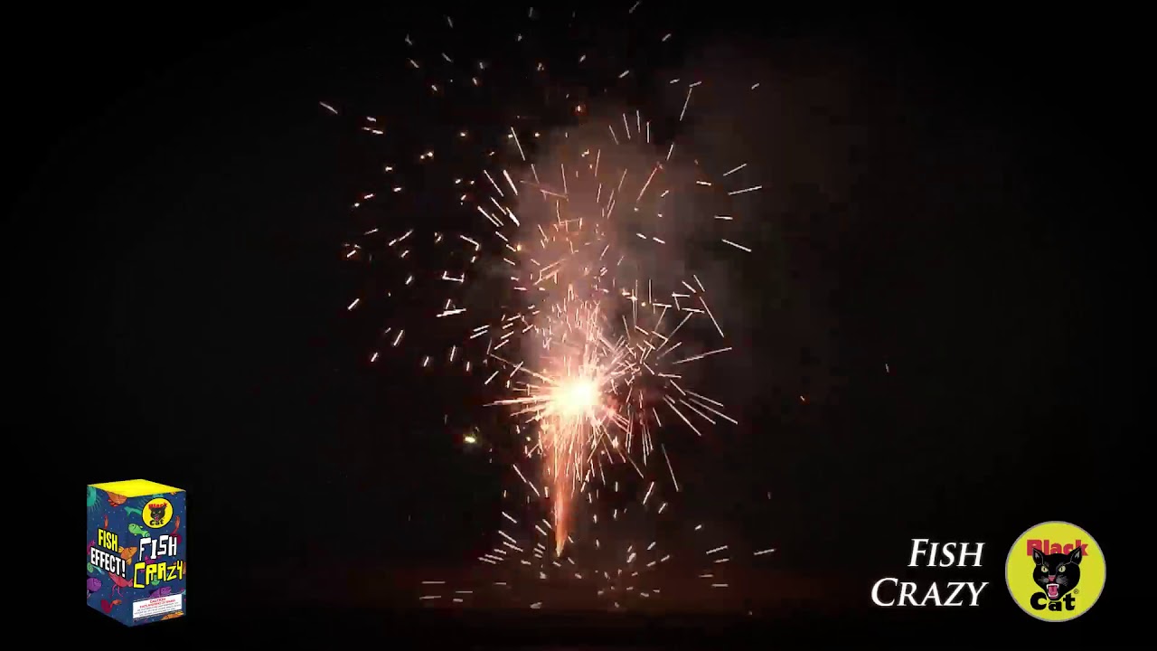 Fish Crazy by Black Cat Fireworks - YouTube