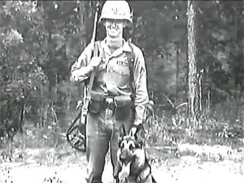 The Bond - Vietnam Scout Dog "Toro" & handler Carl Dobbins - YouTube