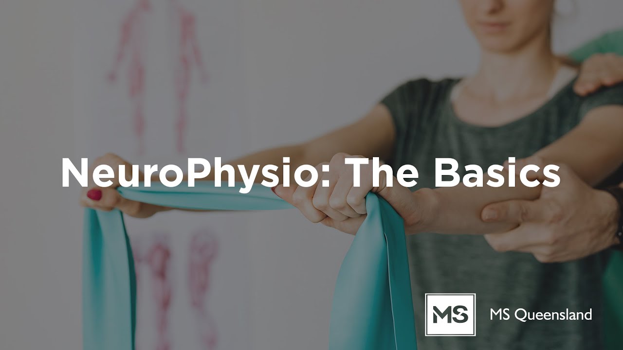 NeuroPhysio: The Basics - YouTube