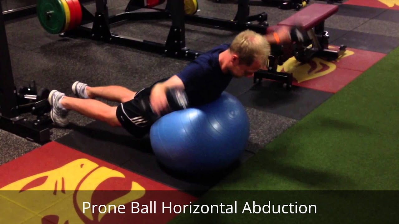 Resistance Training Exercises Through OPT Model - YouTube