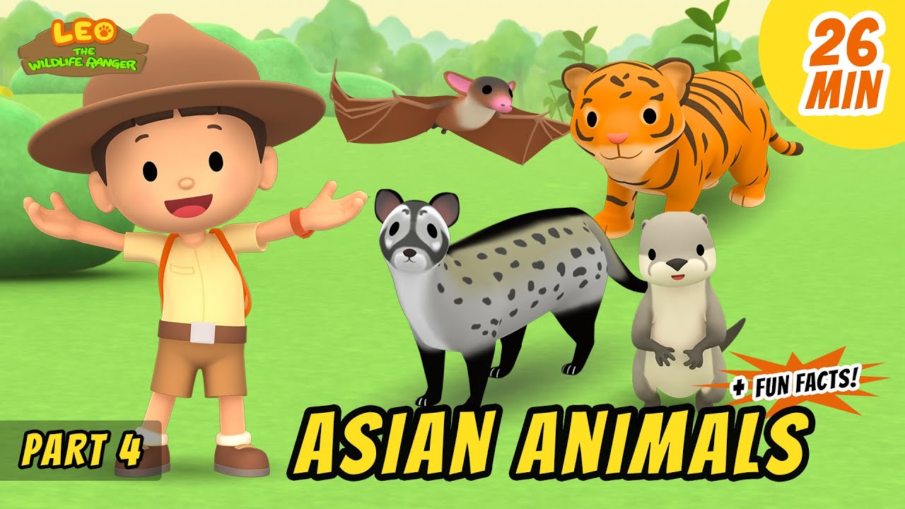 Asian Animals (Part 4/7) - Animals Stories for Kids | Educational | Leo ...
