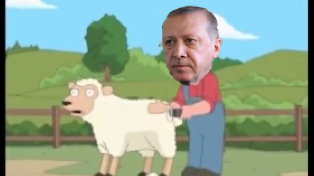 Erdogan playing with a sheep - YouTube