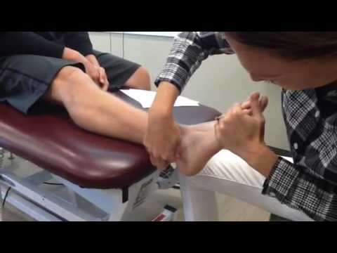 Ankle palpating 3 - YouTube