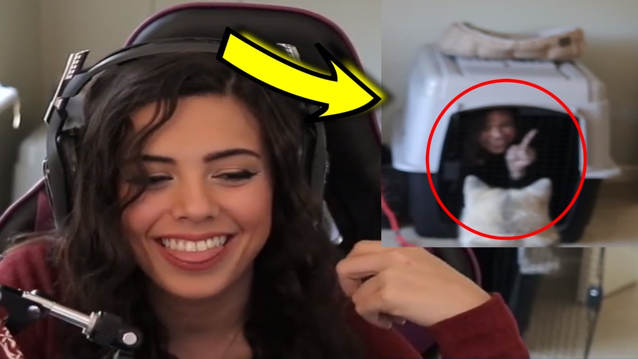 Tkay Gets Locked In A Dog Cage YouTube tkay-gets-locked-in-a-dog-cage-youtube