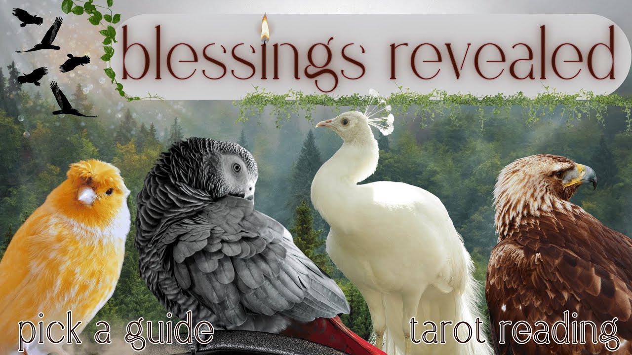 What Blessings Will Be Revealed? Good Karma? Positive Surprises? Pick A ...