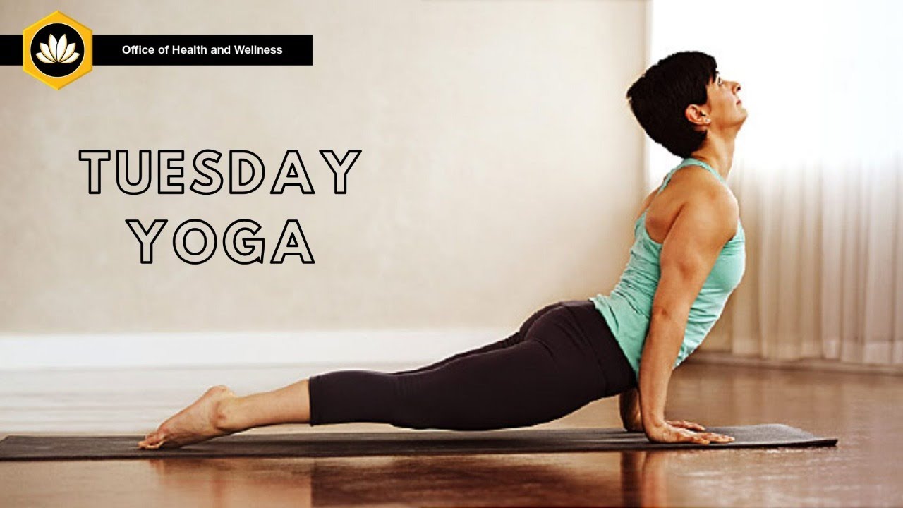 Tuesday Yoga - HMC Wellness - YouTube