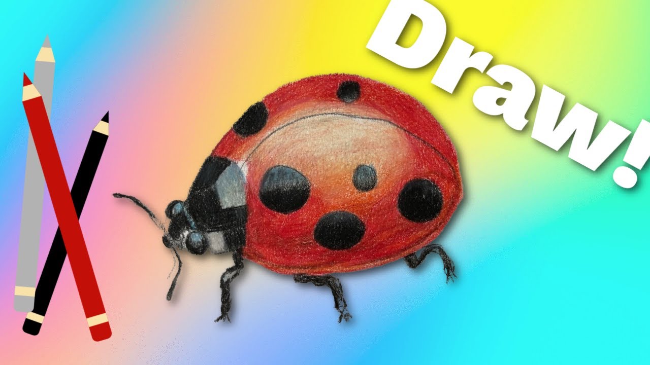 Draw a REALISTIC LADYBUG for Kids! - YouTube