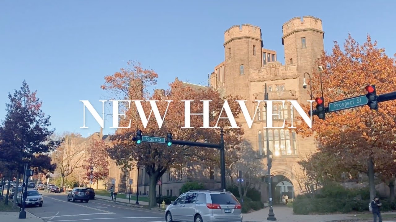 VLOG | Yale Diaries EP02: A Normal Day at Yale, Yale Bookstore ...