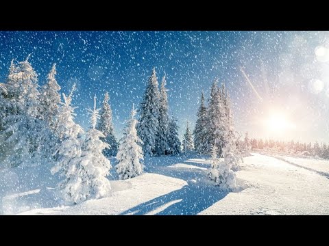 Ninge, ninge... - YouTube