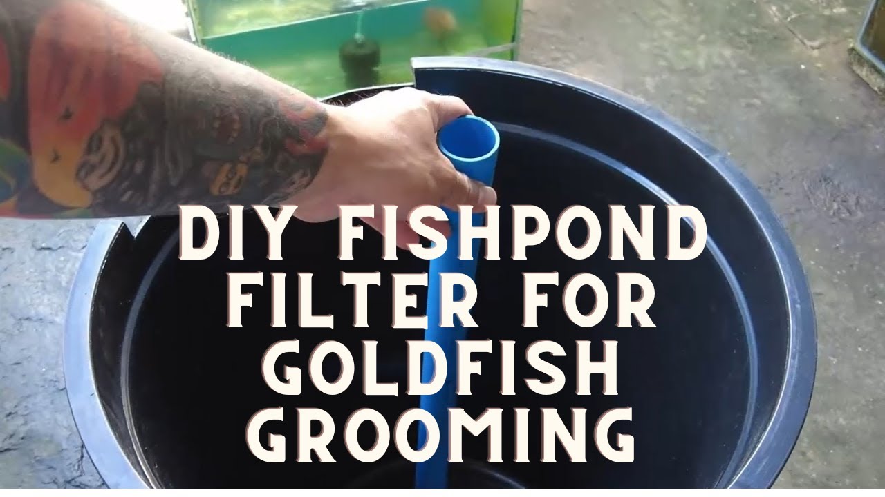 DIY Fish Pond Filter for Goldfish Grooming - Taglish - YouTube