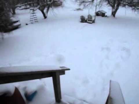 Rock Cave WV January 21, 2014 weather report by Adam Retana a snow ...
