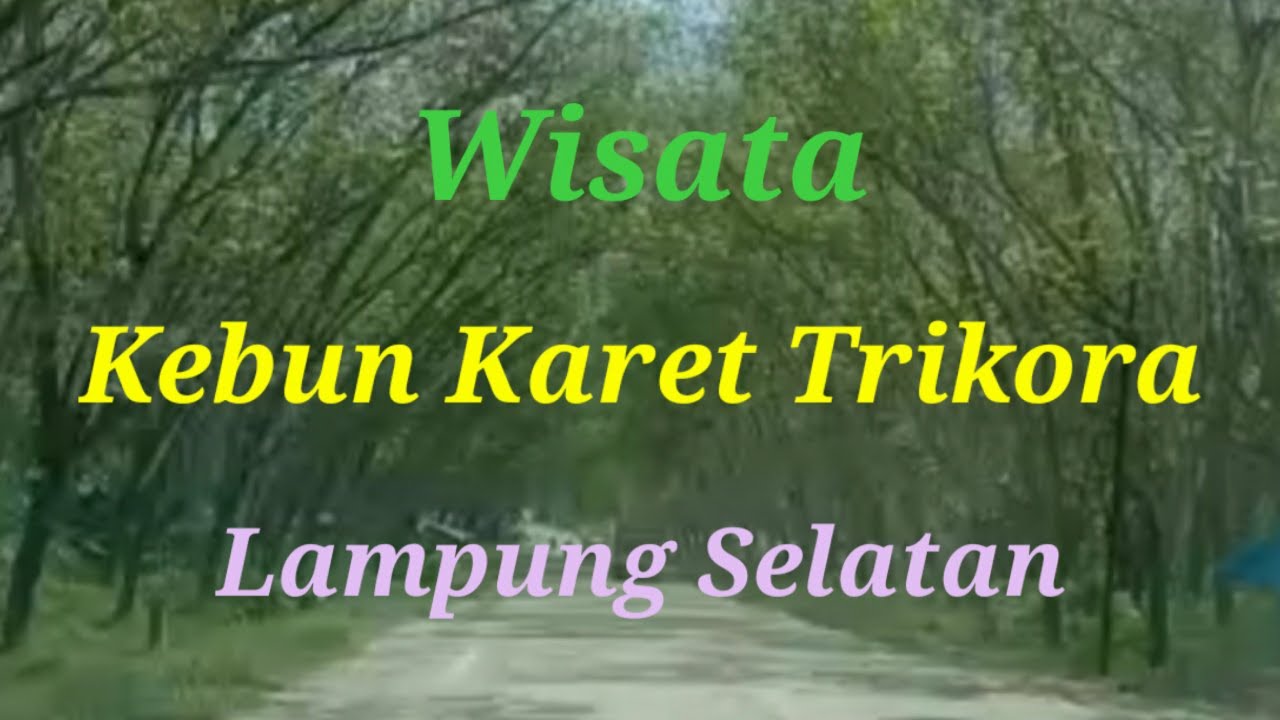 Wisata Kebun Karet Trikora Di Lampung Selatan Provinsi Lampung - YouTube