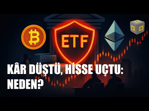 Kâr Düşerken Hisse Neden Yükselir? Beklenti mi Nakit Akışı mı?