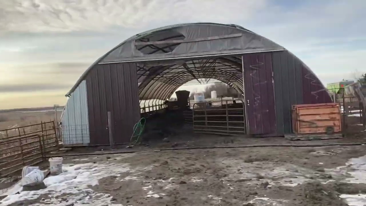 Jan 2021, hog loading ramp and hoop barn tour. - YouTube