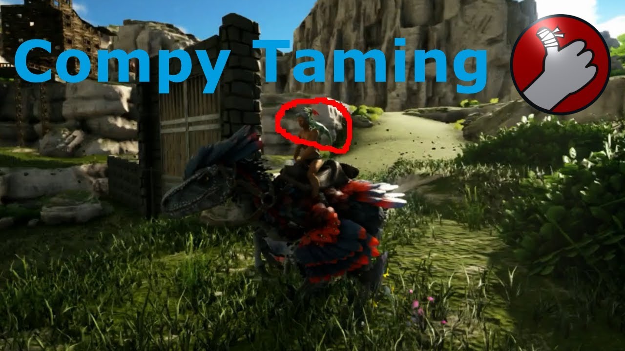 How To Tame A Compy - Ark Valguero - YouTube