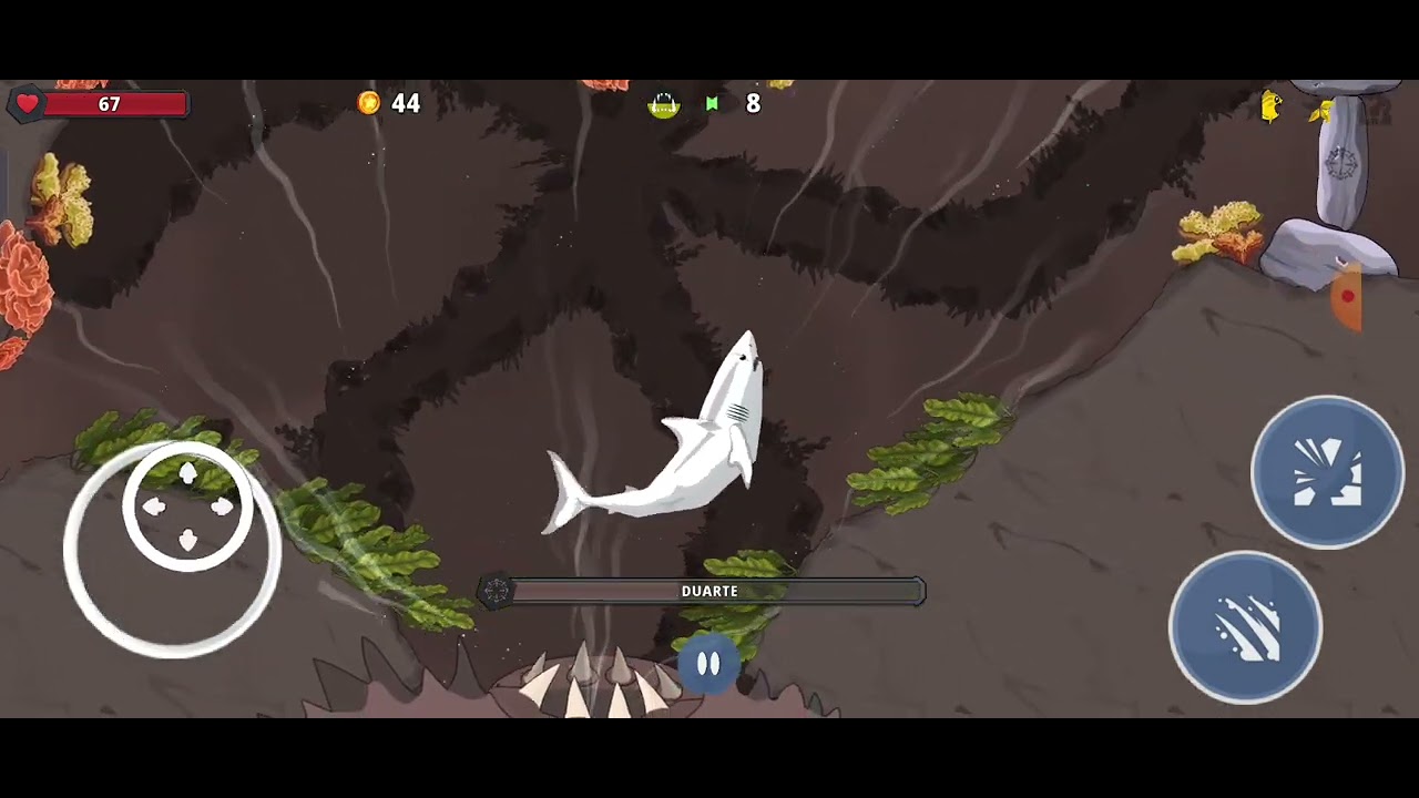 FISH ROYALE: VICIOUZ VS DUARTE - YouTube