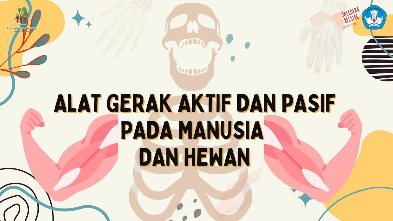 ALAT GERAK AKTIF DAN PASIF PADA MANUSIA (KELAS 5 SD) - YouTube