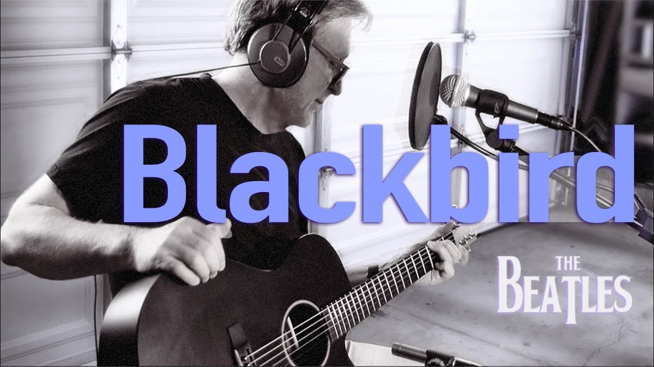 Blackbird (The Beatles) - acoustic cover - YouTube