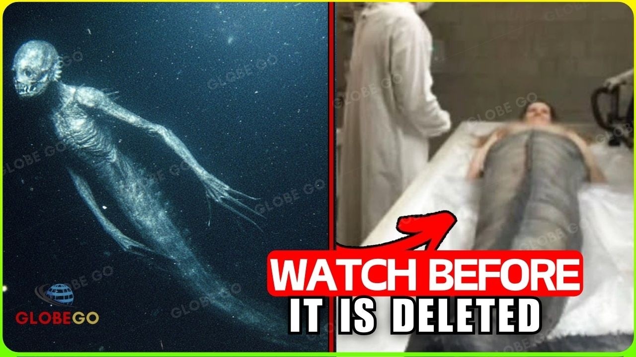 Minnesota Lake Panic: Hazmat Teams Drag a Creature like Mermaids From ...