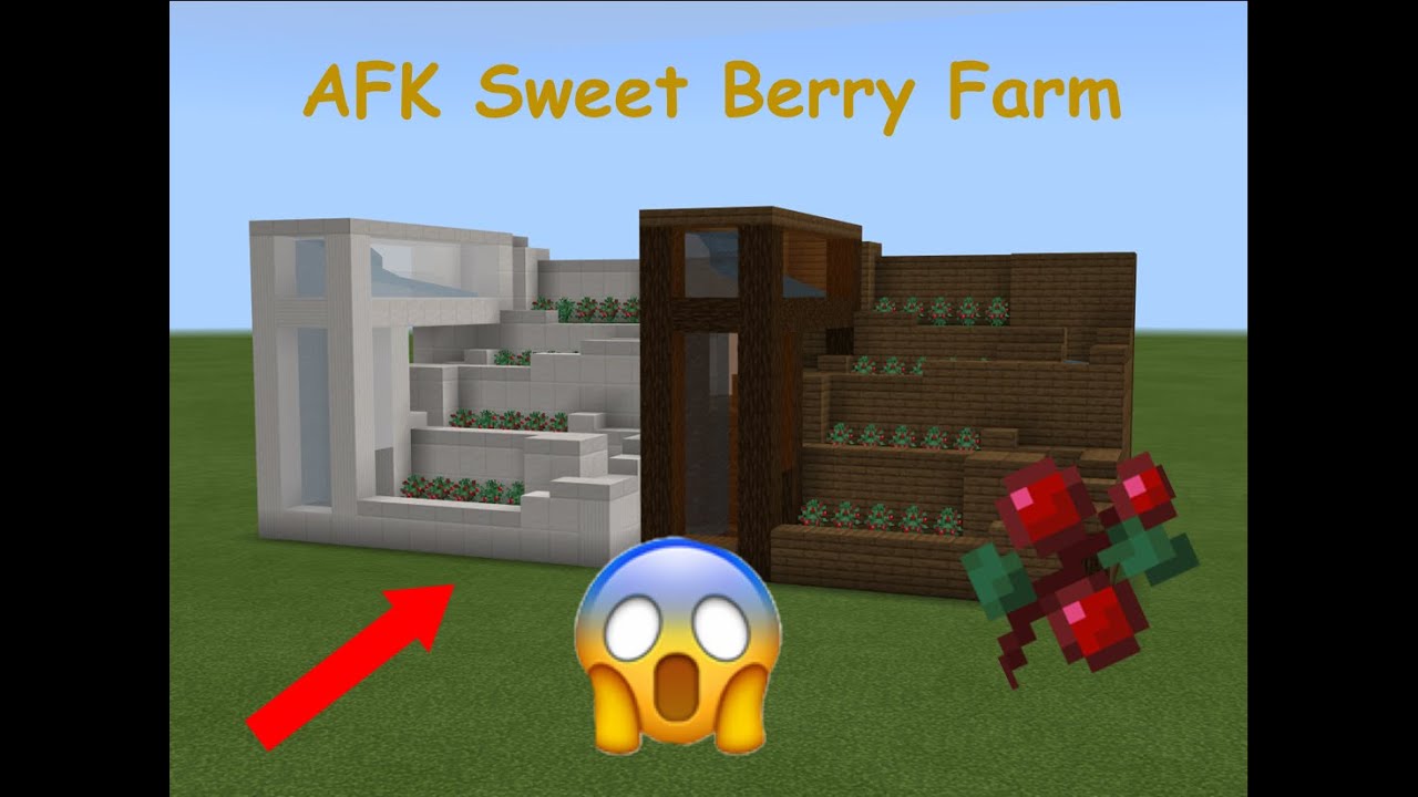 AFK Sweet Berry Farm for Minecraft - YouTube
