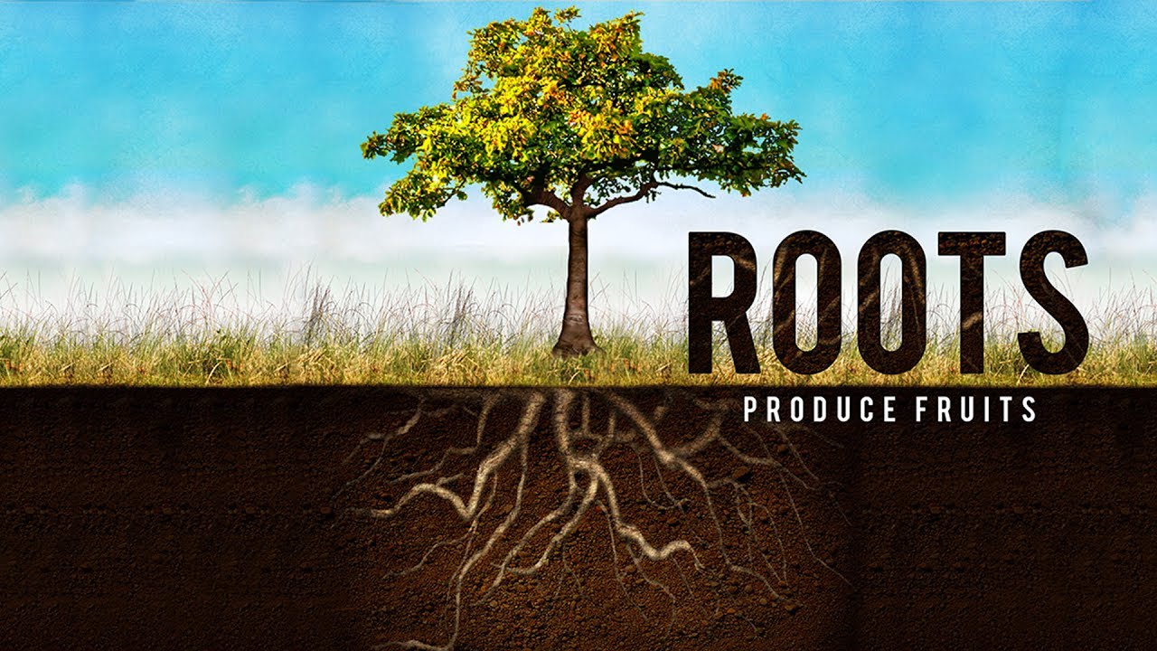 Roots | Part 1: The Why Behind the What | 3D Church - YouTube