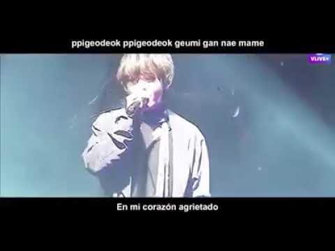 It's definitely you BTS V & JIN En vivo,  subtitulos en español