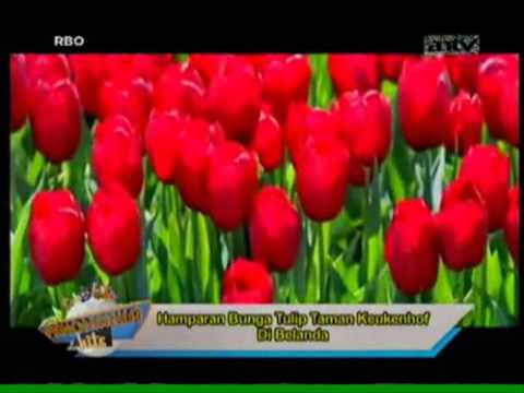 Taman Bunga Terindah Di Dunia