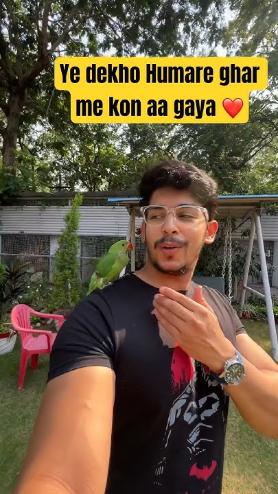 Humare Ghar Kahi se Mitthu Ka Aa Gaya 😍 #Shorts #parrot #chirimiri - YouTube
